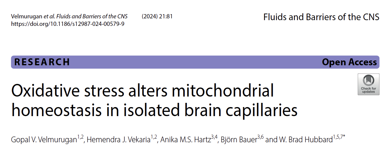 New Paper on Oxidative Stress in Isolated Brain Capillaries Published ...